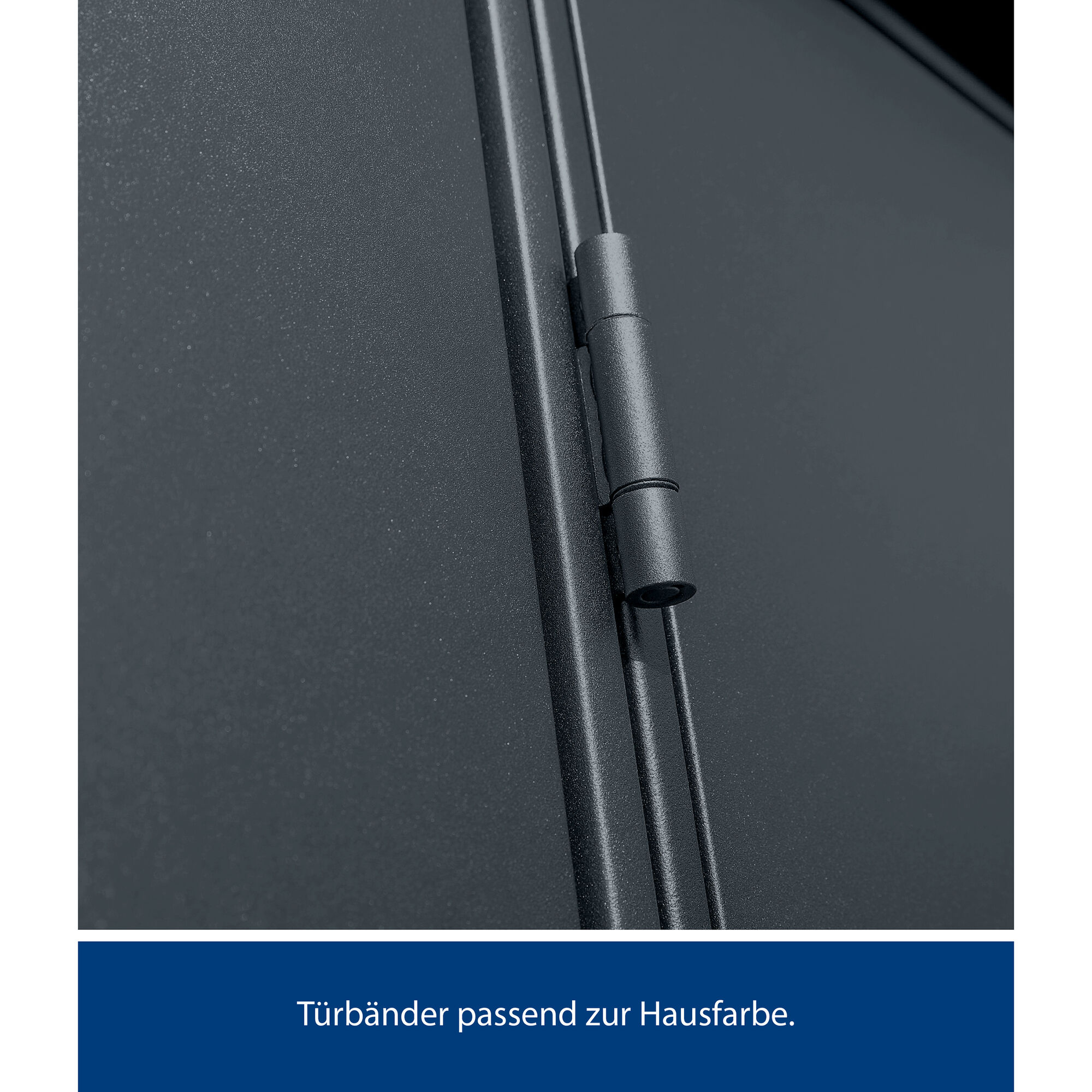 Hörmann Set Berry Modern-P,Typ 3 Gerätehaus Anthrazit online kaufen ...